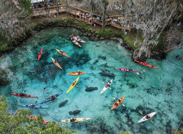 The Top 6 Outdoor Adventures on Florida’s Nature Coast - Chasing Adventure